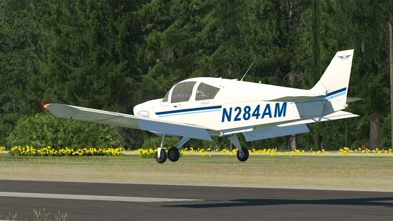 SimSolutions - AMD Alarus CH2000 XP11/12 | Aerosoft Shop